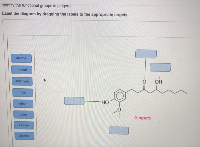 Solved Identify the functional groups in gingerol Label the | Chegg.com