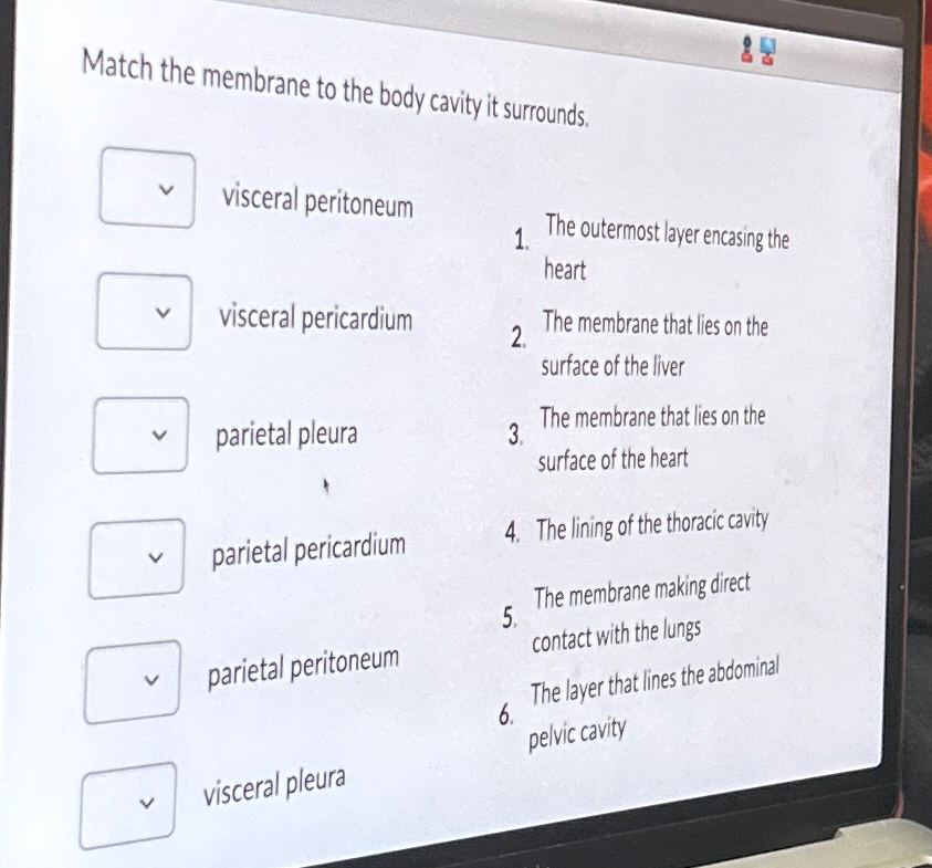 Solved Match the membrane to the body cavity it | Chegg.com