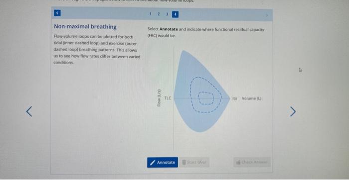 Solved Flow-volume loop Select Annotate and indicate in red | Chegg.com