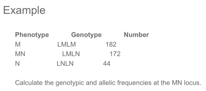 Solved Example Phenotype M MN Genotype Number LMLM 182 LMLN | Chegg.com
