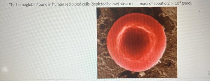 Solved The hemoglobin found in human red blood cells | Chegg.com