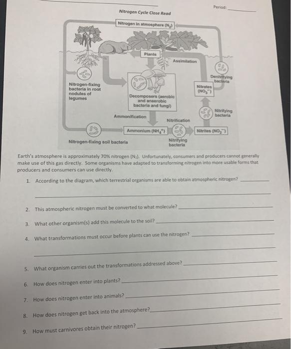Solved Period Nitrogen Cycle Close Read Nitrogen in mosphere | Chegg.com