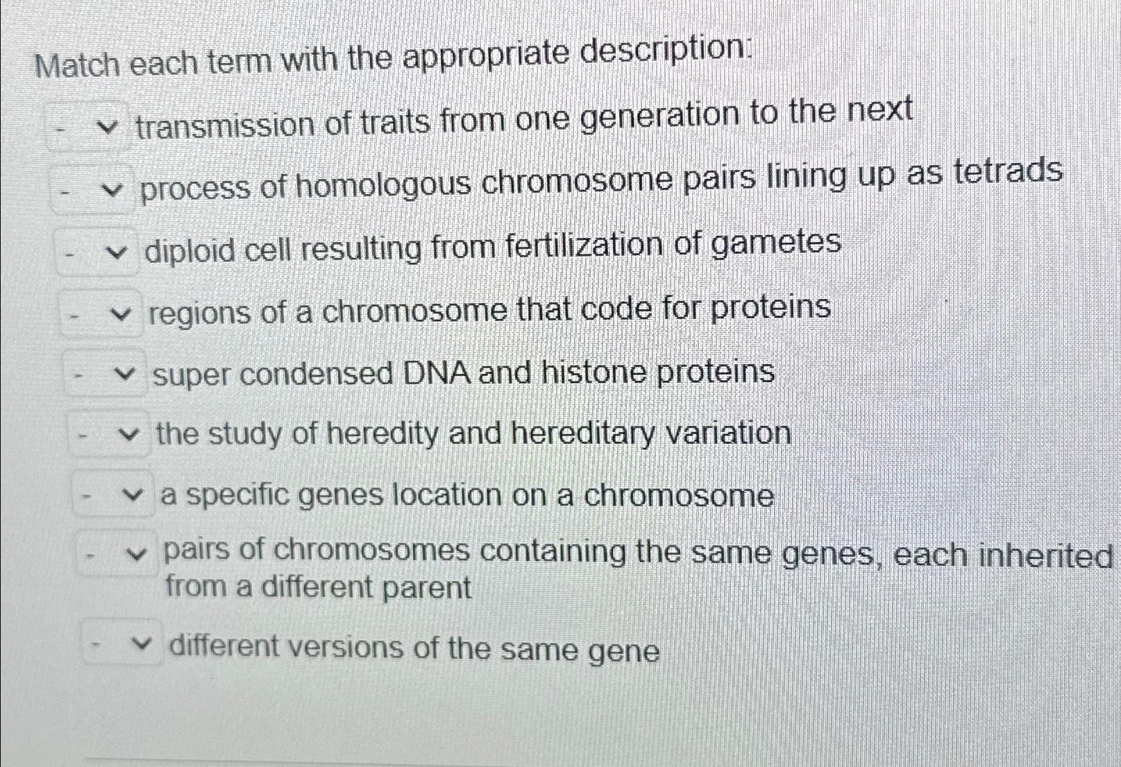 Solved Match each term with the appropriate | Chegg.com