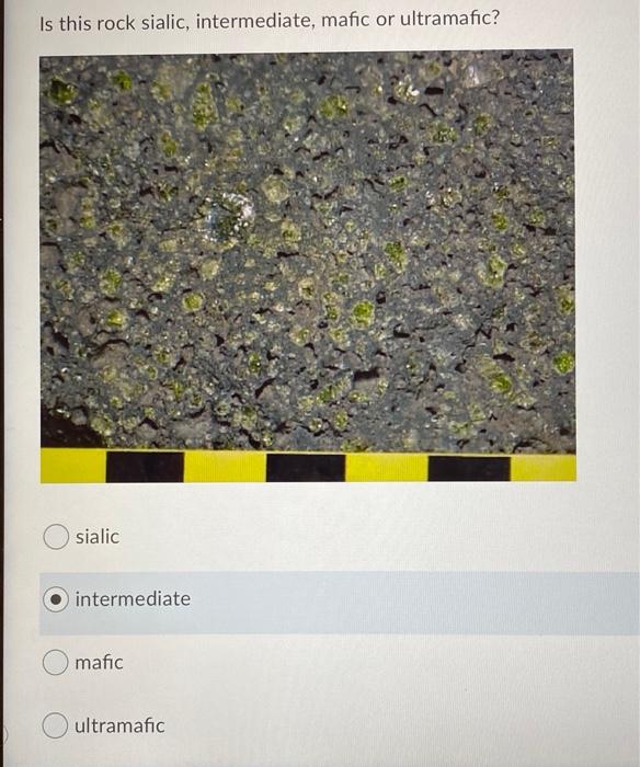Solved Is this rock sialic, intermediate, mafic or | Chegg.com