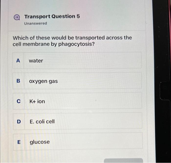 Solved Transport Question 3 Unanswered Which of the | Chegg.com