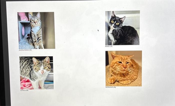 Solved Complete the table. To create a table, seiect the | Chegg.com