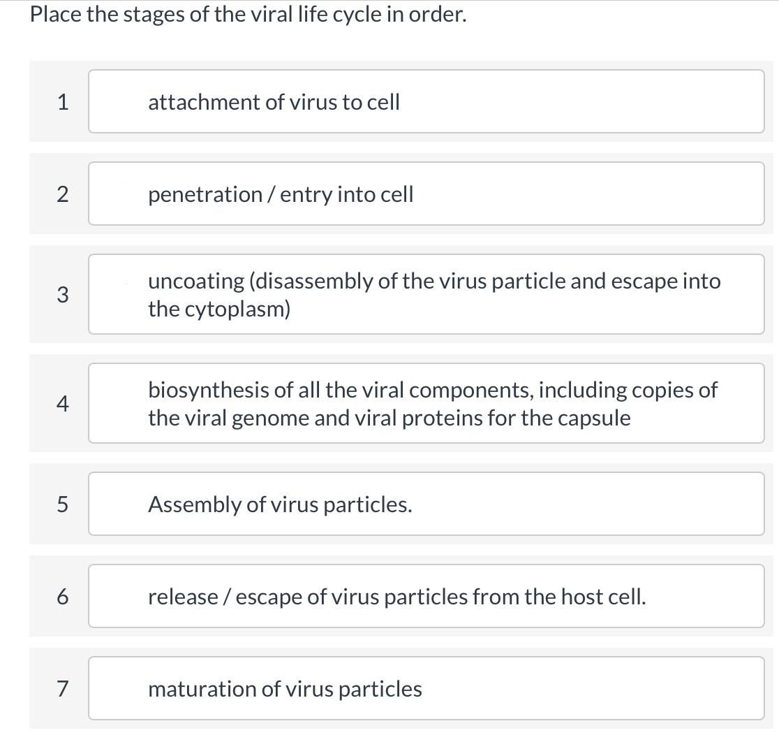 Solved Place the stages of the viral life cycle in | Chegg.com