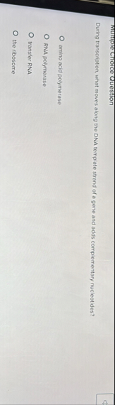 Solved Multiple Choice QuestionDuring transcription, what | Chegg.com