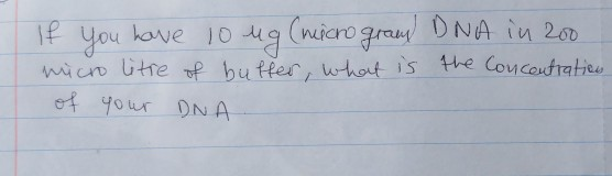 Solved If you have 10 ug (micro grans DNA in 200 micro litre | Chegg.com
