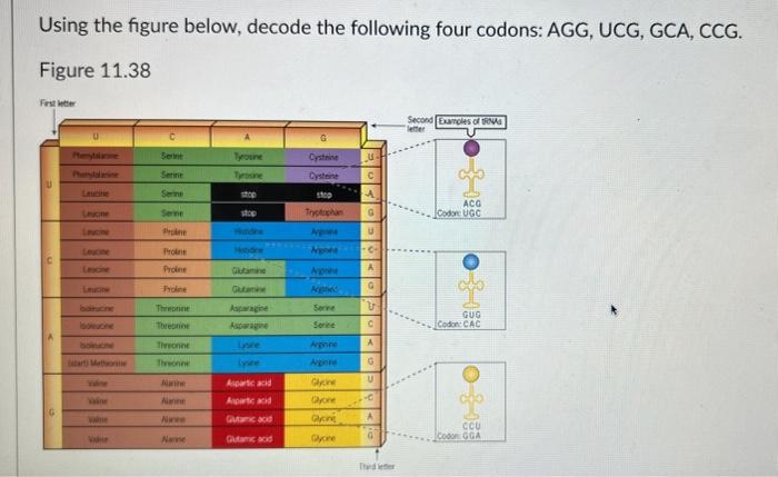 Solved Using the figure below, decode the following four | Chegg.com