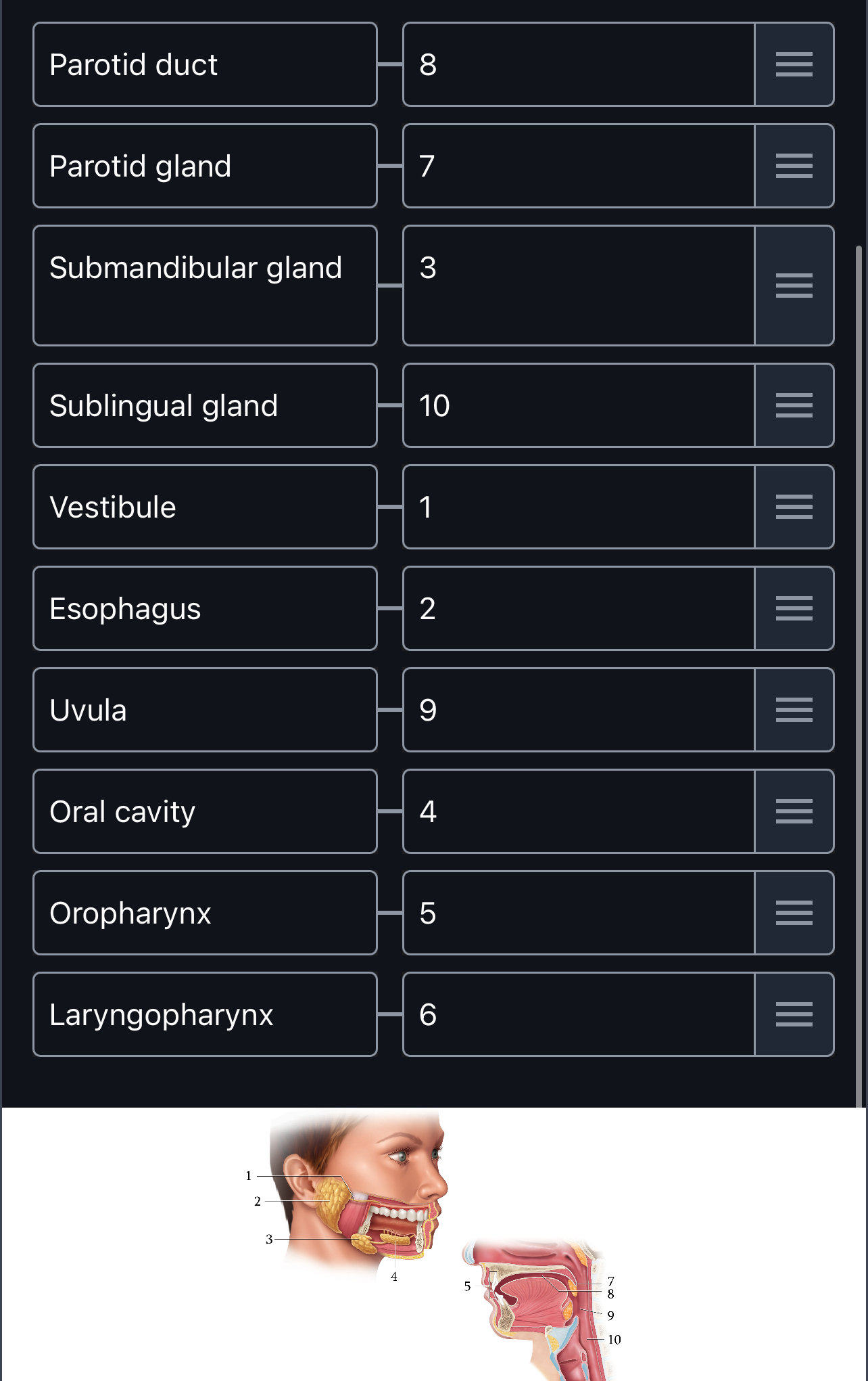 Solved Drag and drop to match the picture | Chegg.com