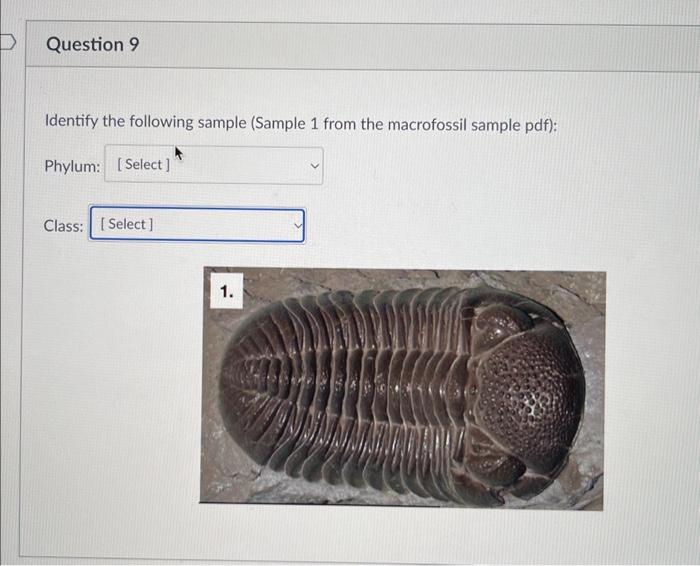 Solved Identify the following sample (Sample 1 from the | Chegg.com