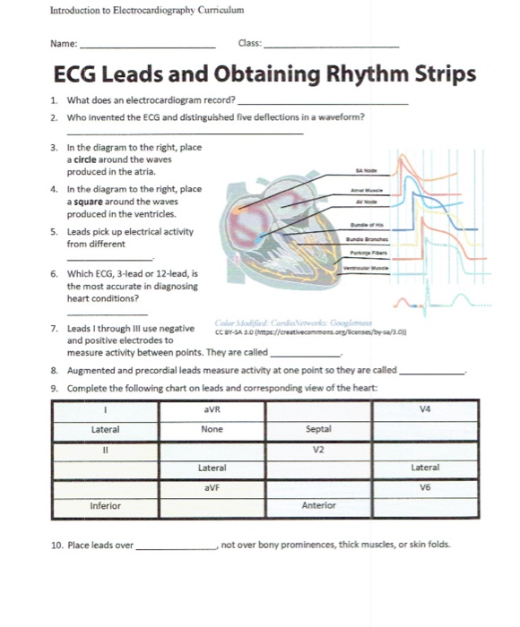 Solved Introduction to Electrocardiography Curriculum Name: | Chegg.com