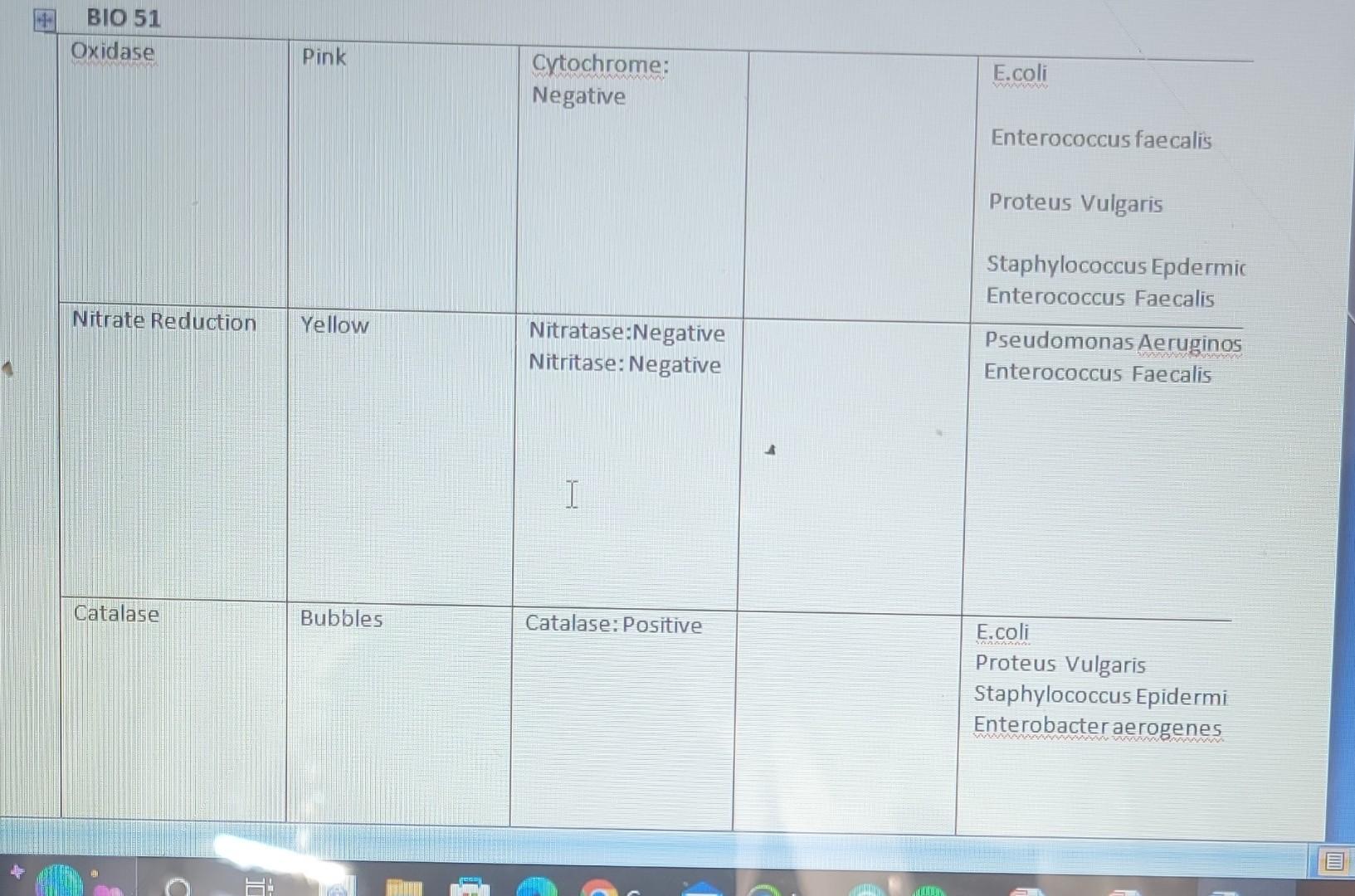 Solved BIO 51 Oxidase Pink Nitrate Reduction Yellow Catalase | Chegg.com