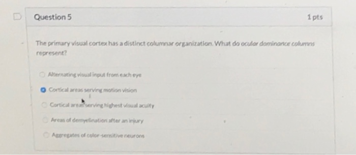 Solved Question 5 1 pts The primary visual cortex has a | Chegg.com