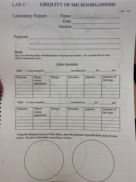 Ubiquity Of Microorganisms Bacteria Solved UBIQUITY OF MICROORGANISMS