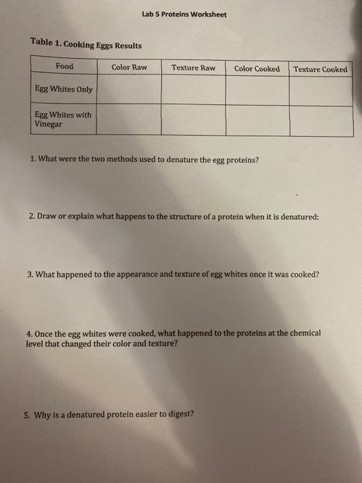 Solved Lab 5 Proteins Worksheet Table 1. Cooking Eggs | Chegg.com