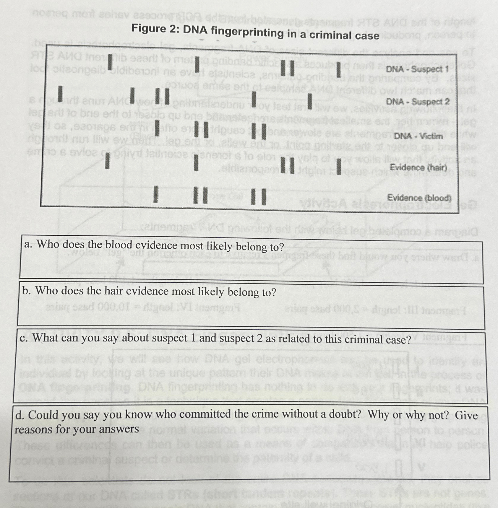 Solved Figure 2: DNA fingerprinting in a criminal | Chegg.com
