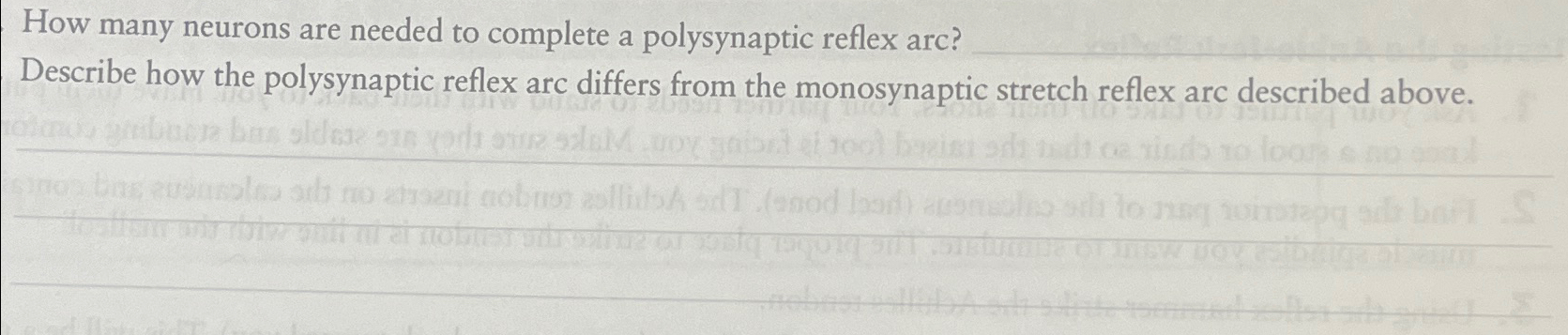 Solved Describe how the polysynaptic reflex arc differs from | Chegg.com