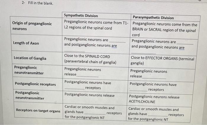 Solved 2- Fill in the blank. Origin of preganglionic neurons | Chegg.com