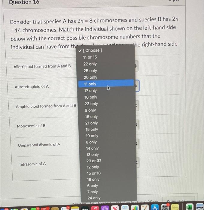 Solved Consider that species A has 2n=8 chromosomes and | Chegg.com