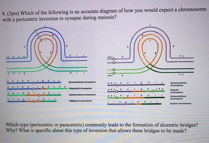 Solved 8. (3pts) Which of the following is an accurate | Chegg.com