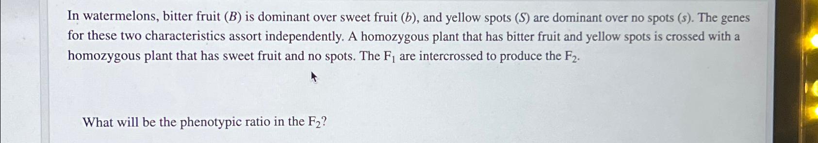 Solved In watermelons, bitter fruit (B) ﻿is dominant over | Chegg.com
