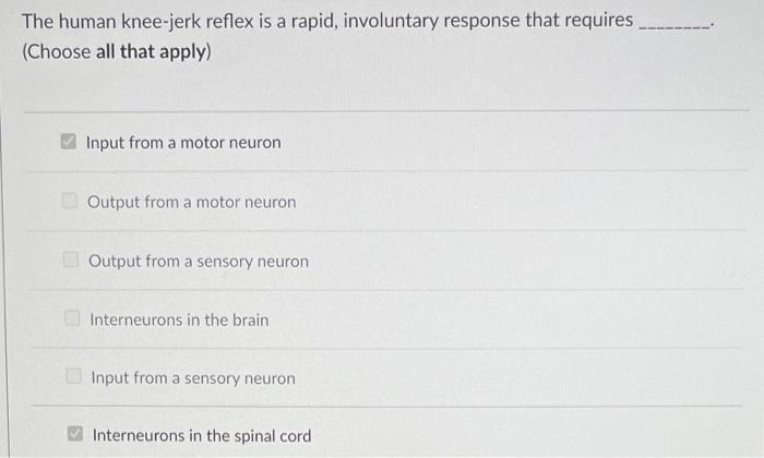 Solved The human knee-jerk reflex is a rapid, involuntary | Chegg.com