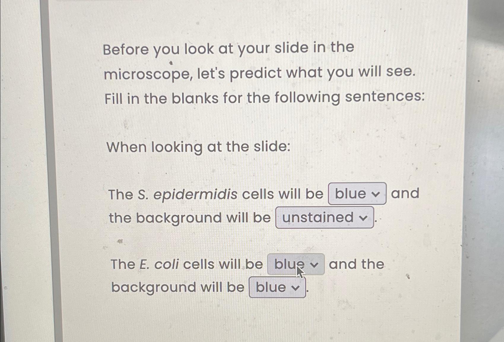 Solved Before you look at your slide in the microscope, | Chegg.com