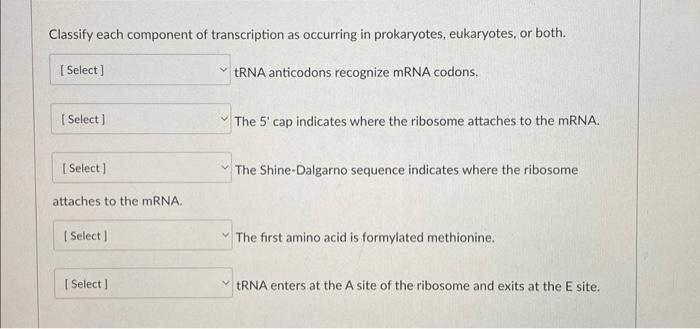 Solved Place the steps of translation in chronological | Chegg.com