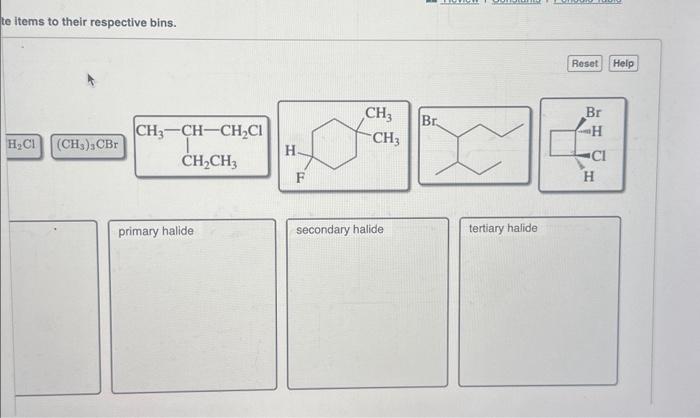 Drag the appropriate items to their respective bins. | Chegg.com