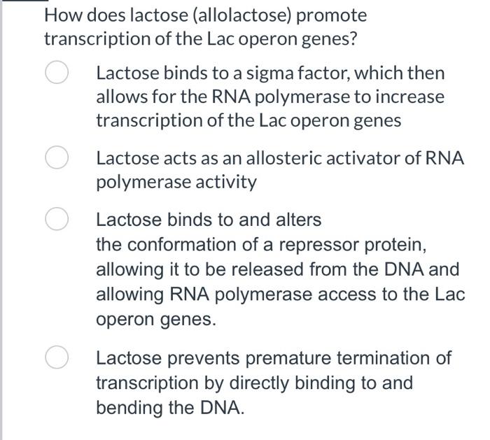 Solved Match each component of the replisome with its | Chegg.com