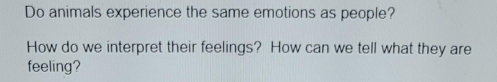 Do animals experience the same emotions as people? | Chegg.com