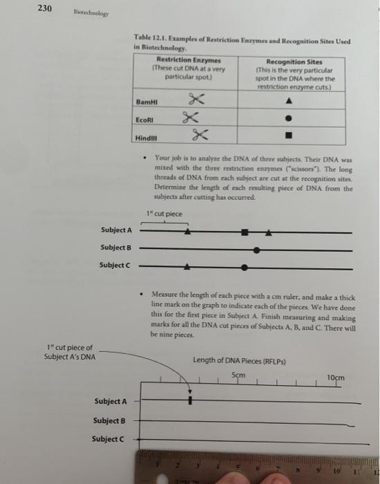 Solved 230 Bistechnology Table 12.1. Examples of Restriction | Chegg.com