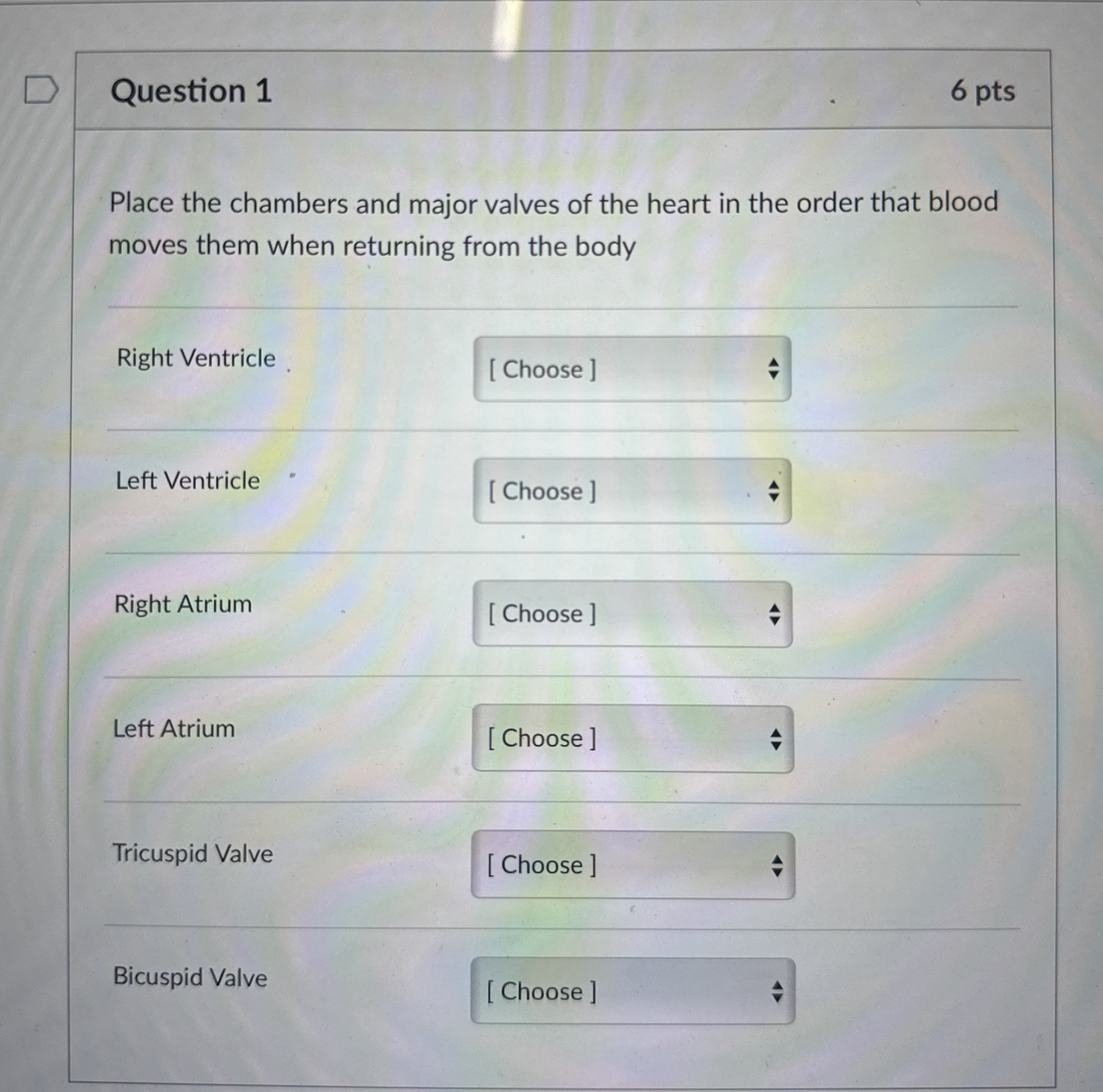 Solved Question 16 ﻿ptsPlace the chambers and major valves | Chegg.com
