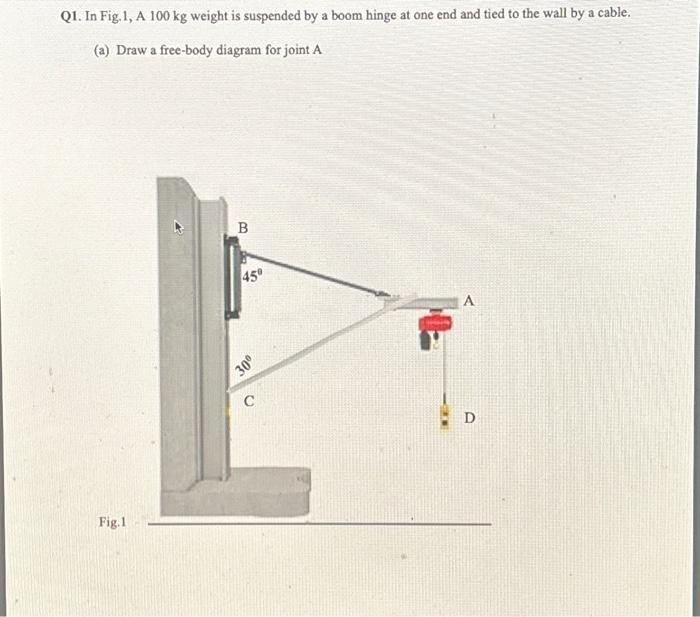 Q1. In Fig. 1, A 100 kg weight is suspended by a boom | Chegg.com