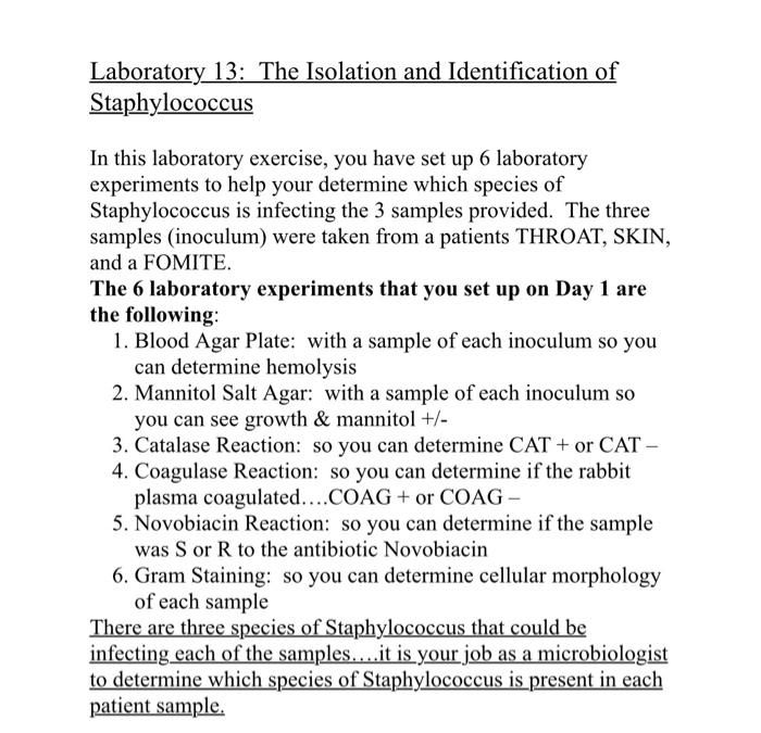 [Solved]: Data Sheet: Isolation and Identification of Staph