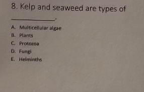 Solved Kelp and seaweed are types of A. ﻿Multicellular | Chegg.com