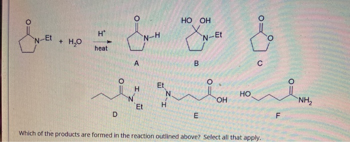 Solved HO OH H Et + H2O 'N-H EN 'N-Et heat A B с H Et N НО, | Chegg.com