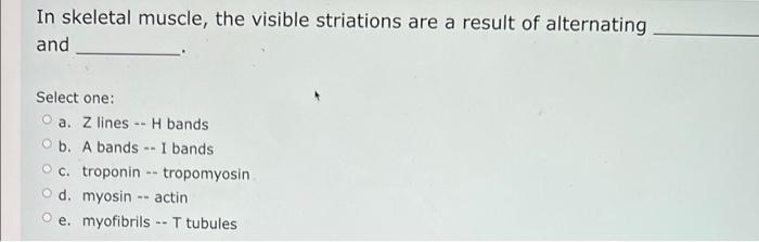 Solved In the diagram below, which letter indicates the | Chegg.com