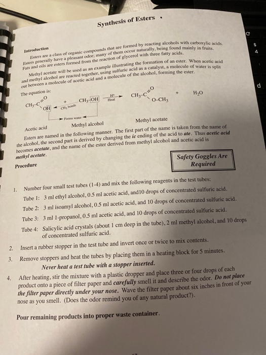 Solved Synthesis of Esters Report Sheer Name of estar in | Chegg.com Solved Synthesis of Esters Report Sheer Name of estar in | Chegg.com