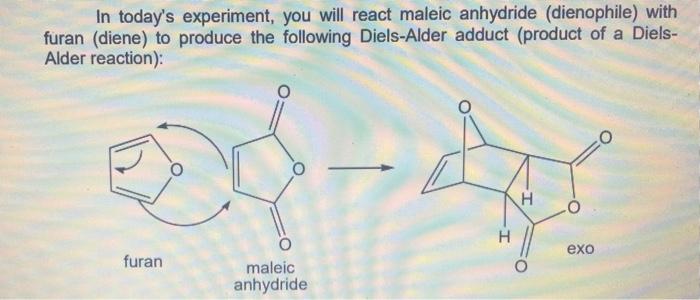 Solved 11. Draw the structures of both the exo and endo | Chegg.com