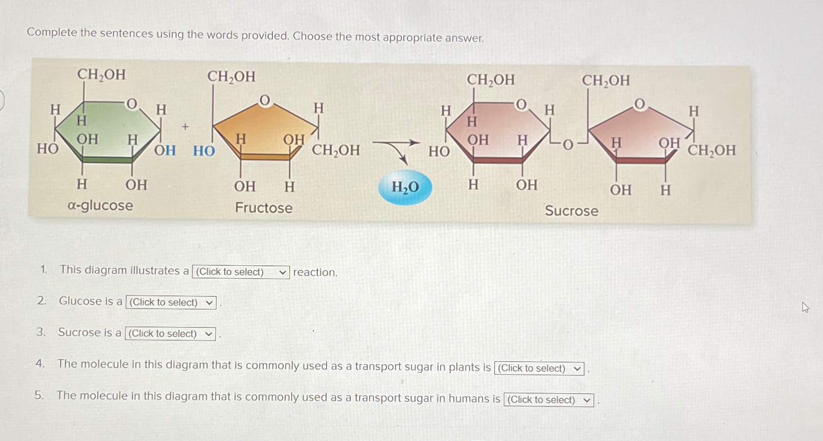 Solved Complete the sentences using the words provided. | Chegg.com