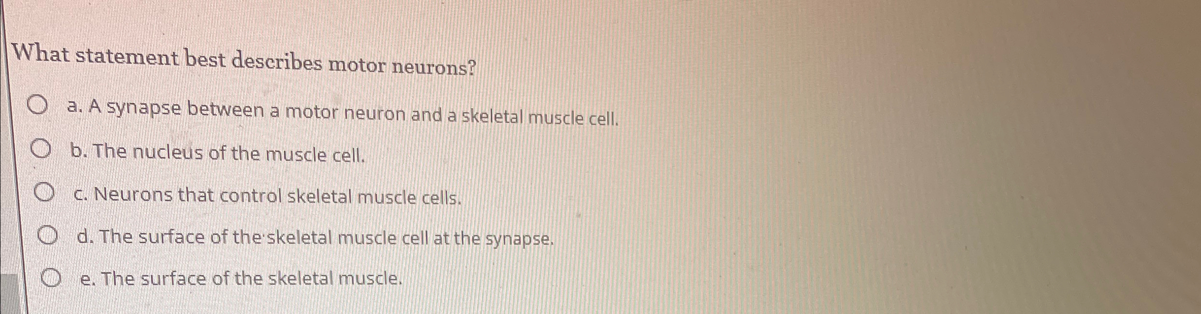 Solved What statement best describes motor neurons?a. ﻿A | Chegg.com