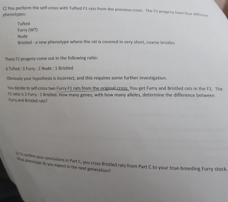 Solved C) ﻿You perform the self-cross with Tufted F1 ﻿rats | Chegg.com
