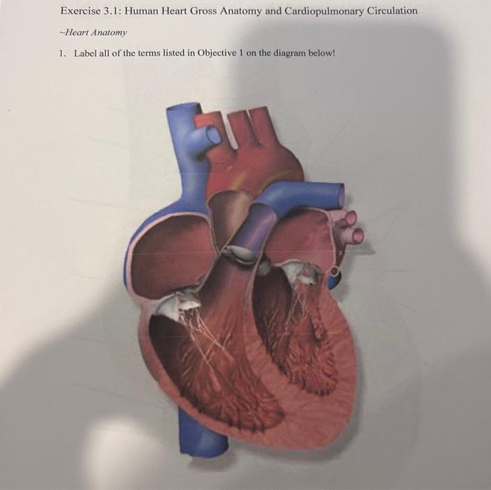 Solved label all of the terms listed in objective one on the | Chegg.com