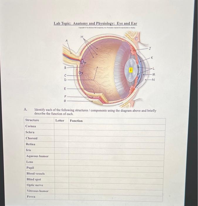 Solved Lab Topic: Anatomy and Physiology: Eye and Ear B -M | Chegg.com