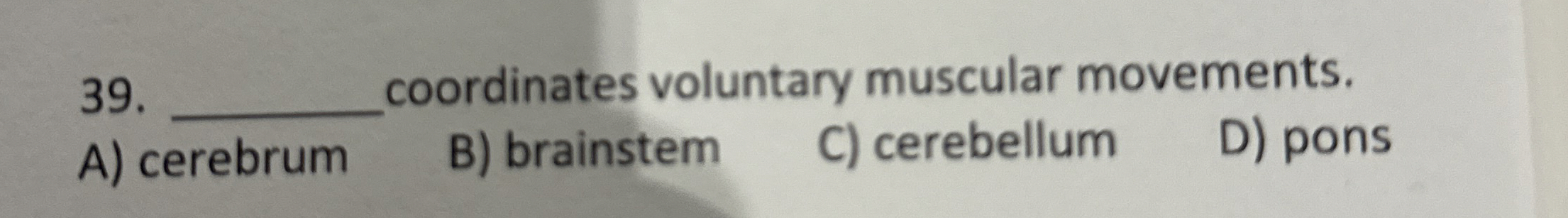 Solved q, ﻿coordinates voluntary muscular movements.A) | Chegg.com