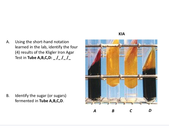 Solved KIA A. Using the short-hand notation learned in the | Chegg.com