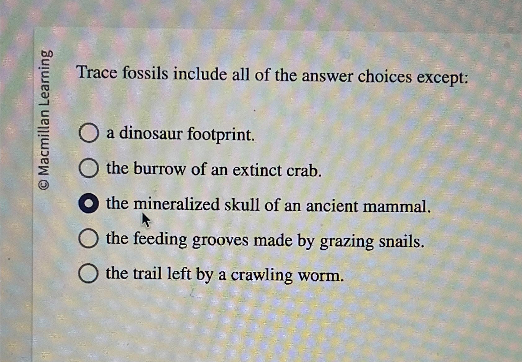 Solved Trace fossils include all of the answer choices | Chegg.com